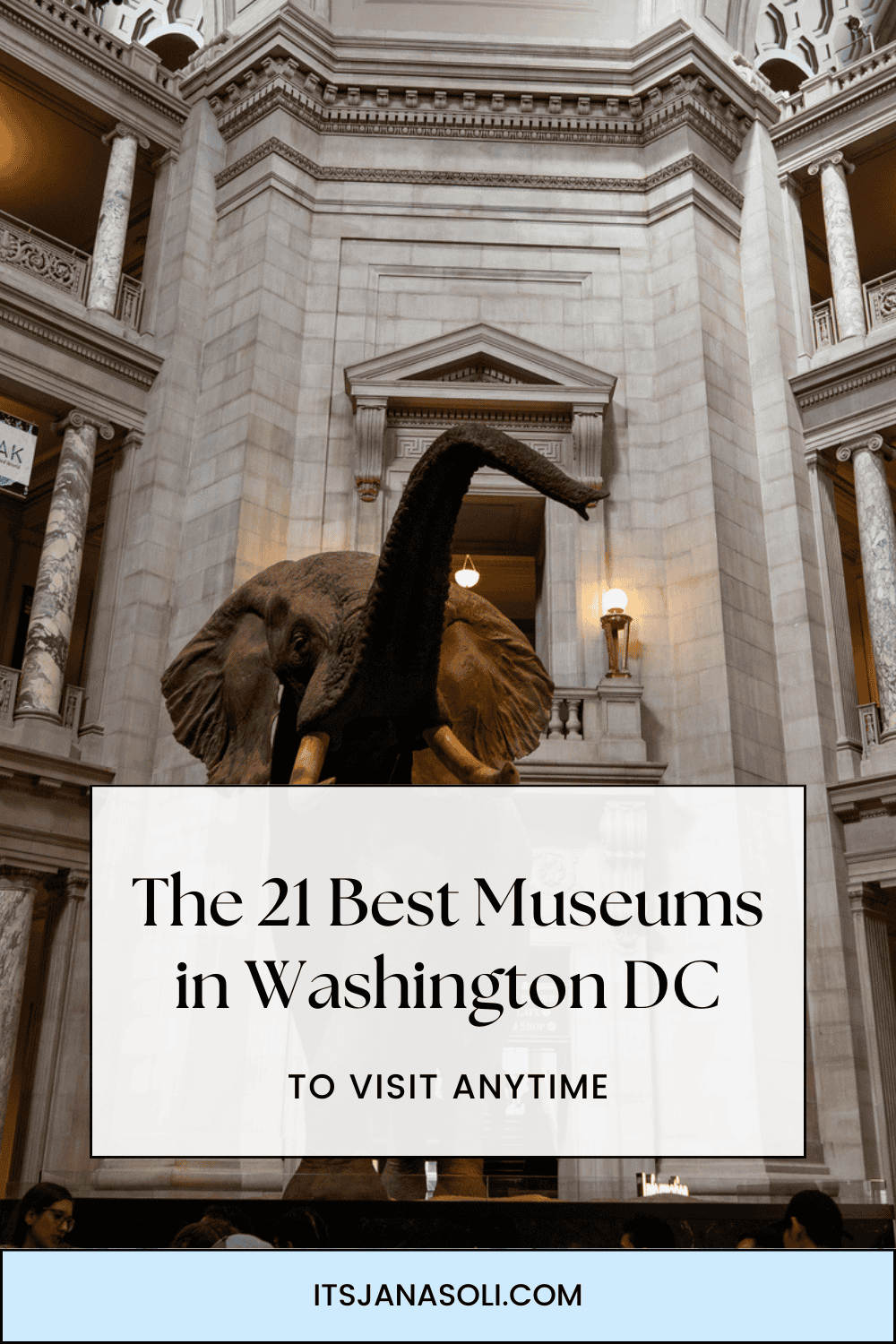The 21 Best Museums in Washington DC to Visit Anytime - itsjanasoli