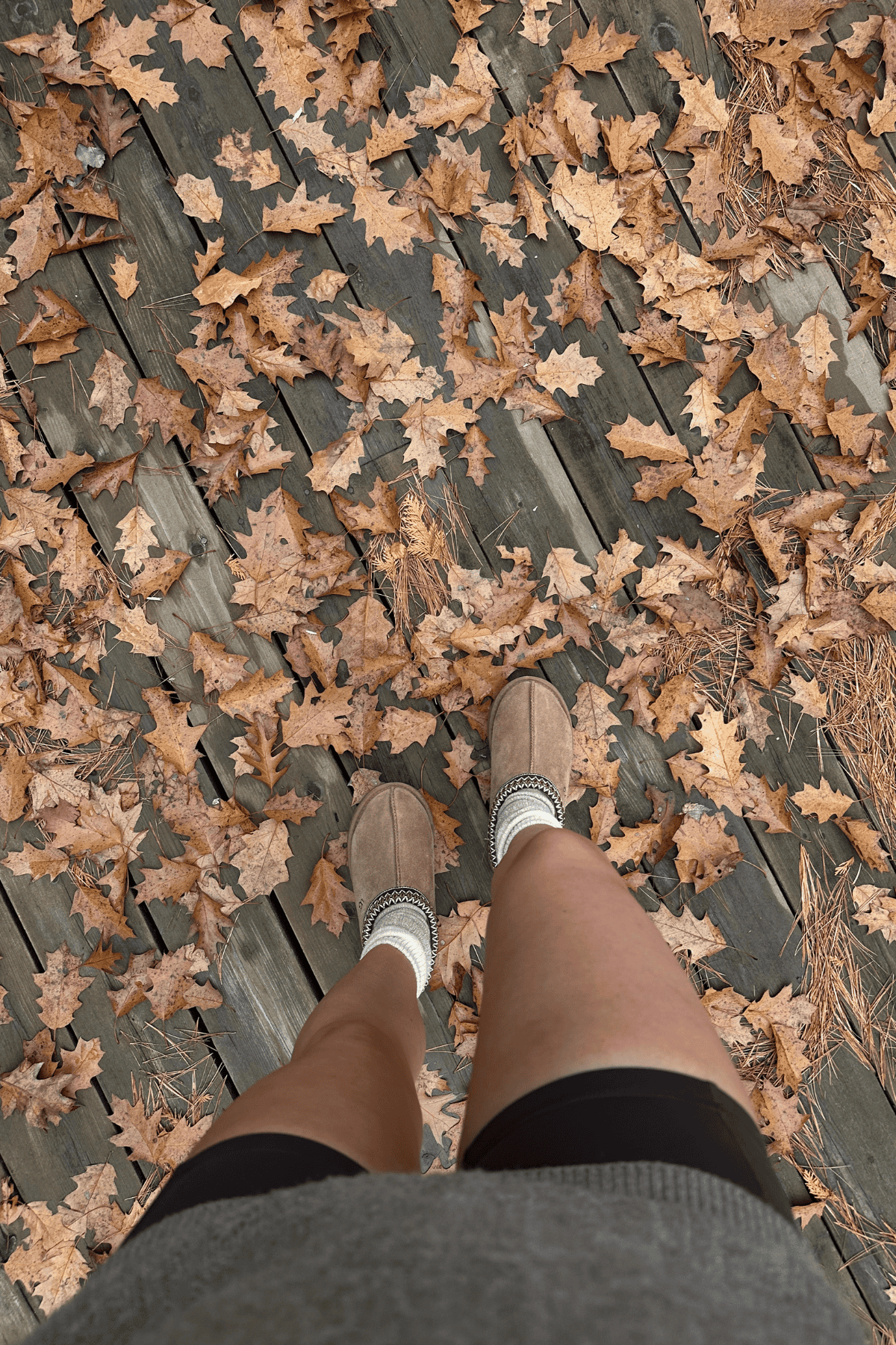 Atlanta in November (7 Best Things to Do 2026) - itsjanasoli
